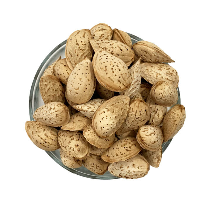 Iranian Raw Paper Almond Export Center - Nutex Group | Nuts and Dried ...