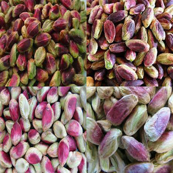Iranian Pistachio Kernels for Kuwait Wholesale Market - Nutex Group ...