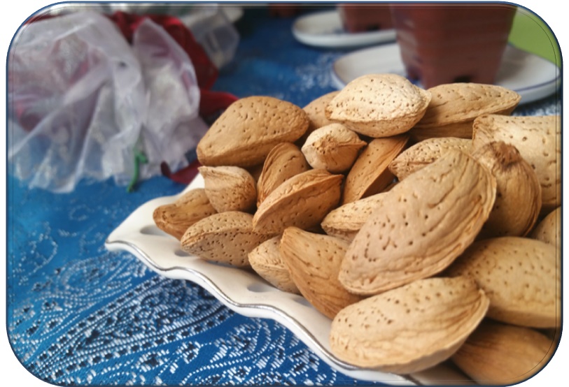 High Quality Irani Mamra Almonds/Badam - Nutex Group | Nuts and Dried ...