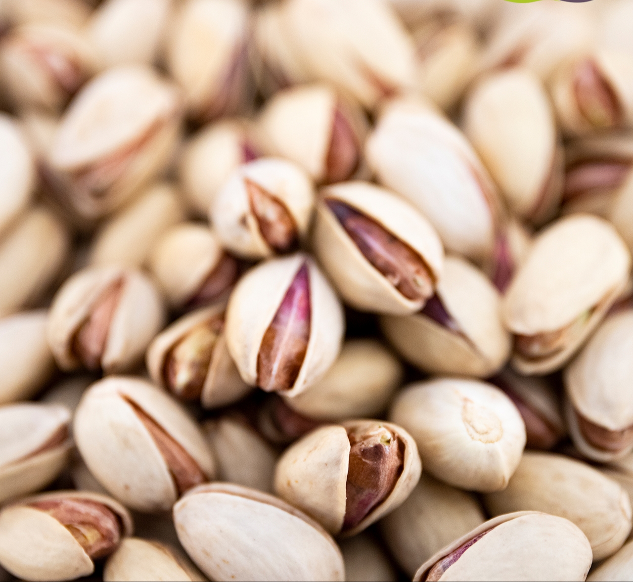 Rafsanjan Pistachio Varieties to Import / Nutex Iranian Pistachios ...