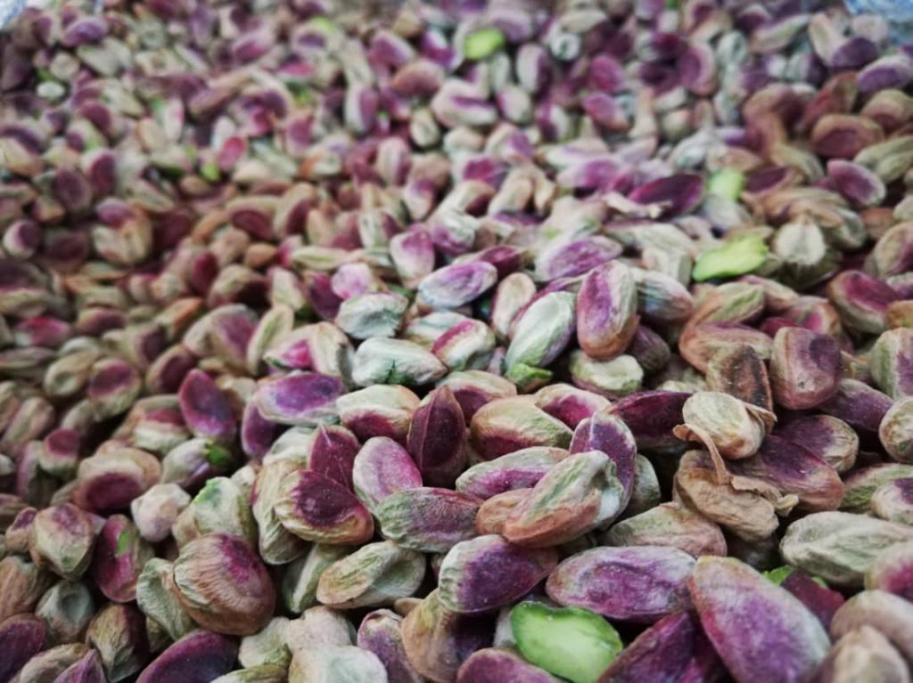 Iranian Pistachio Kernels for Kuwait Wholesale Market - Nutex Group ...