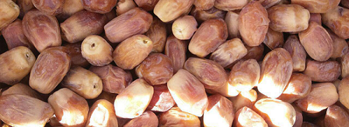 Buy Iranian dates | Fresh Iranian dates | Export Iranian dates - Nutex ...
