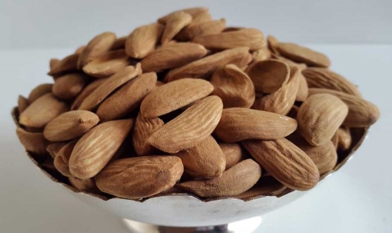 Buy Mamra almonds directly from the manufacturer - Nutex Group | Nuts ...