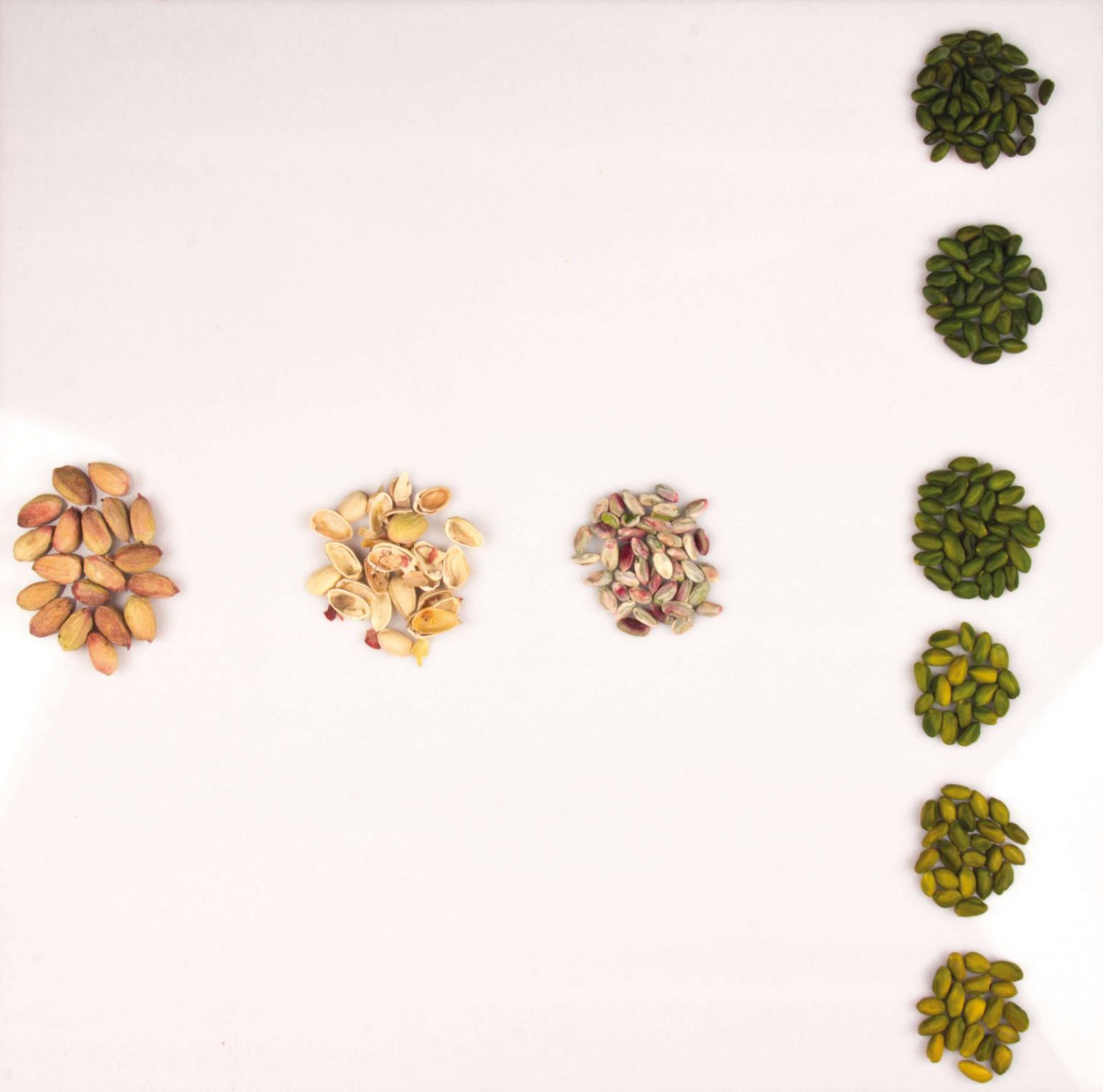 The price of green peeled pistachio kernels in Jordan - Nutex Group ...