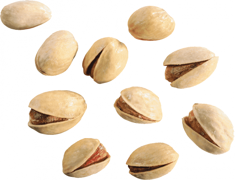 Nutex Pistachio Company - Production‚ Packaging and Export of Nuts ...