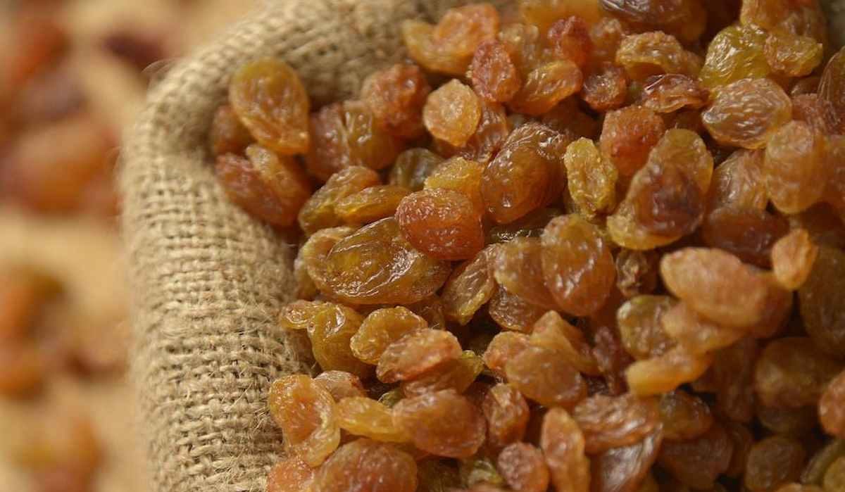 Iranian Raisin price Wholesale Per Ton Box | Nutex Raisins - Nutex ...